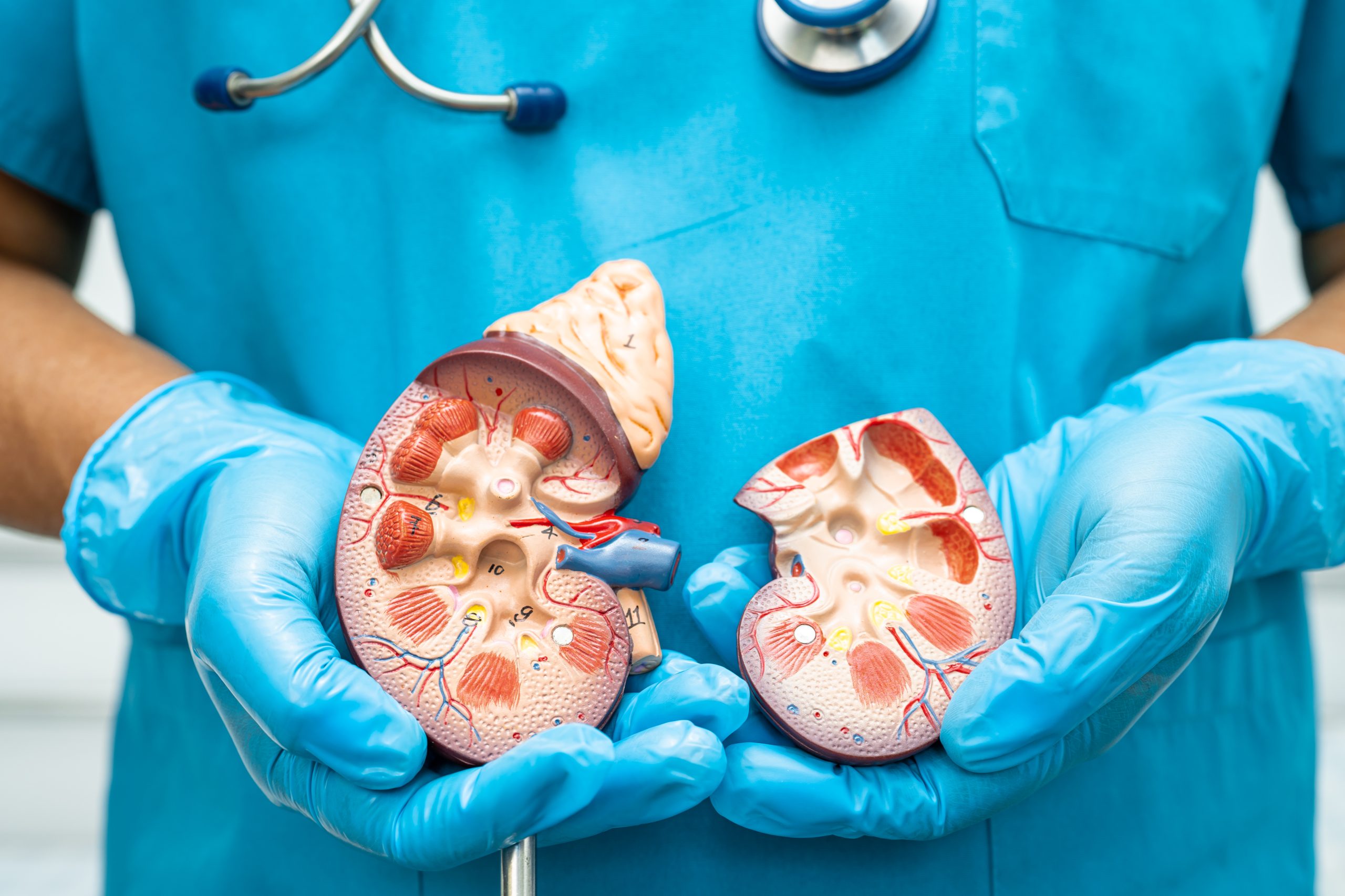 Nephrology - Makassed General Hospital